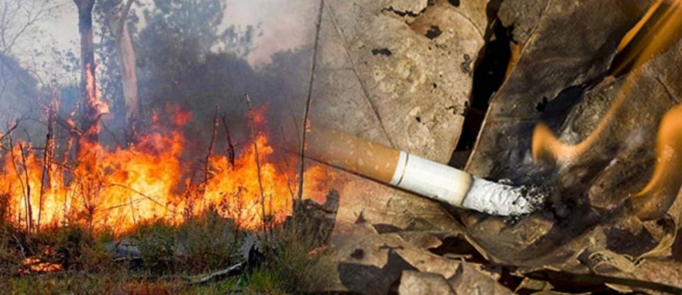 Bomberos pide a ciudadanía no arrojar colillas de cigarros tras más de ...