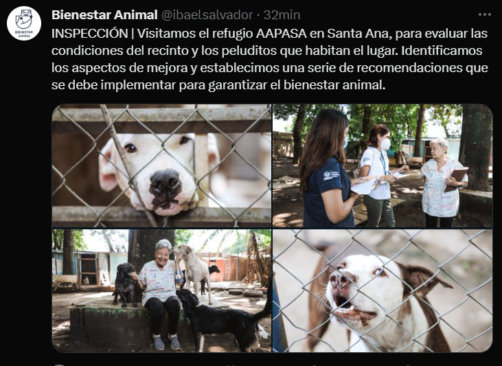 Evalúan condiciones en las que viven perritos rescatados en refugio ...