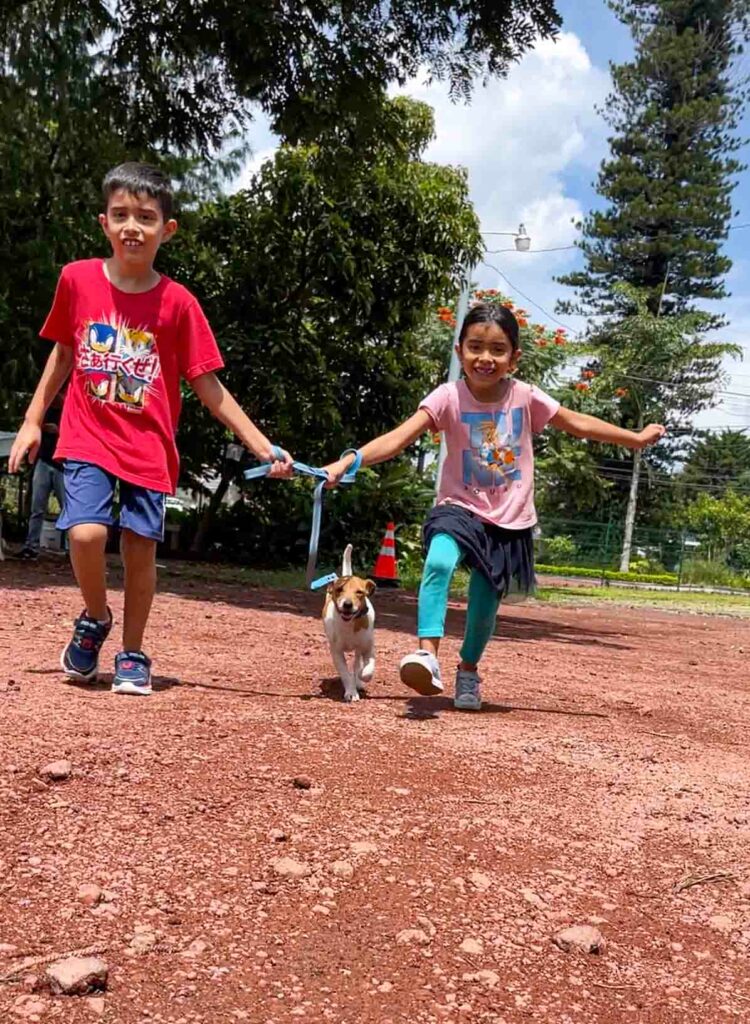 El milagroso rescate de Pimpón que finaliza con una amorosa adopción ...
